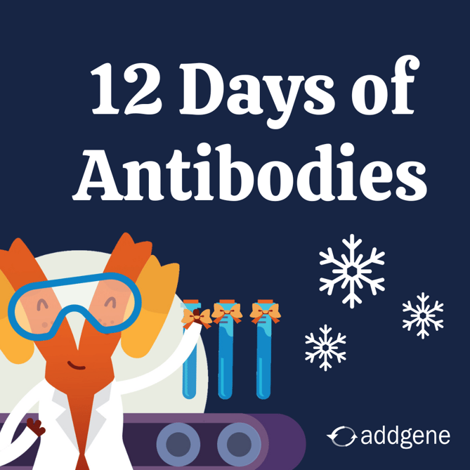 The Twelve Days of Antibodies